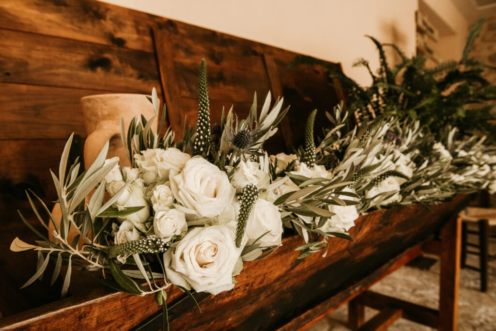 My CMS – Son Berga Logo